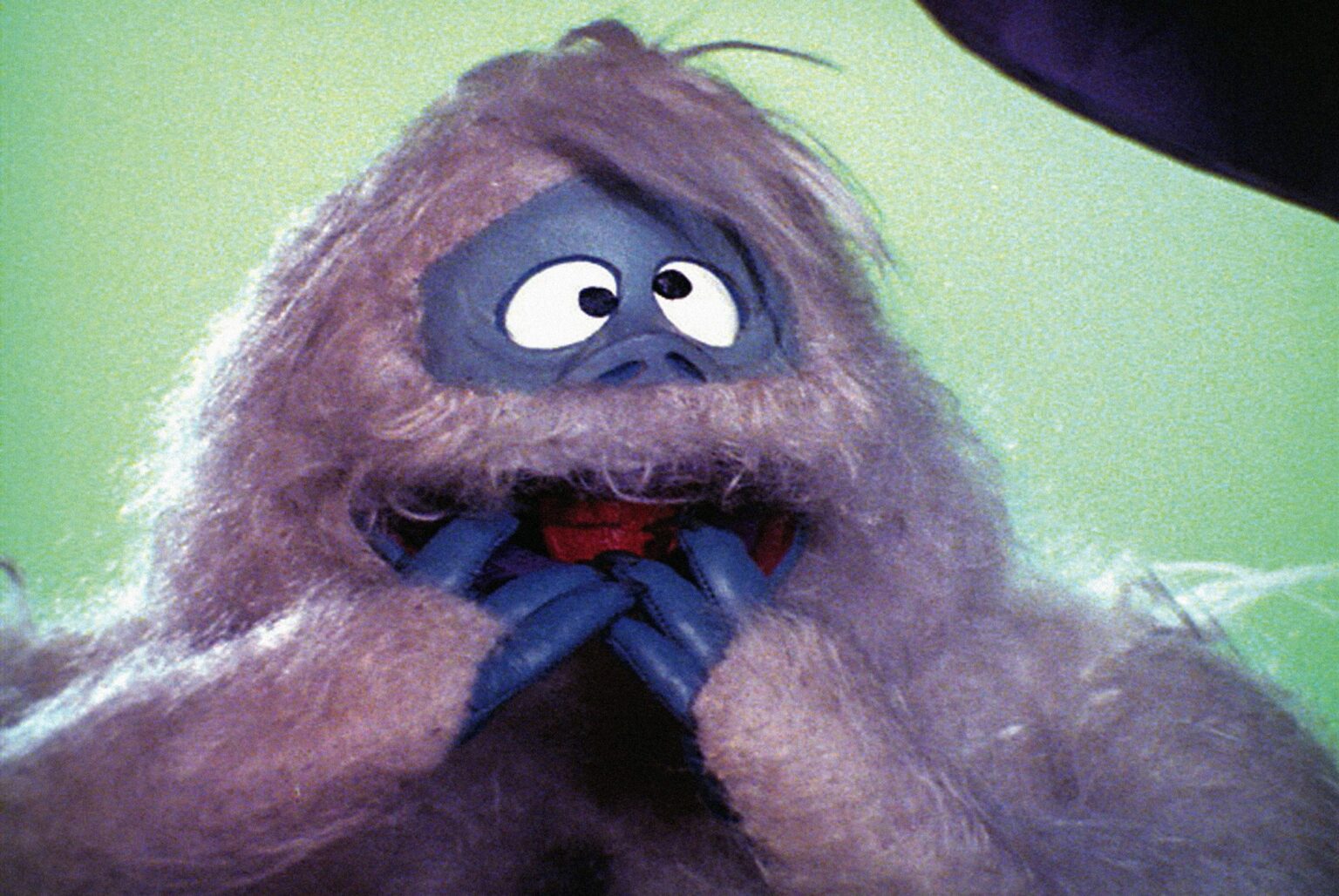 Bumbles Bounce! Safely Clean Snow From Roofs – South Shore Boston MA ...